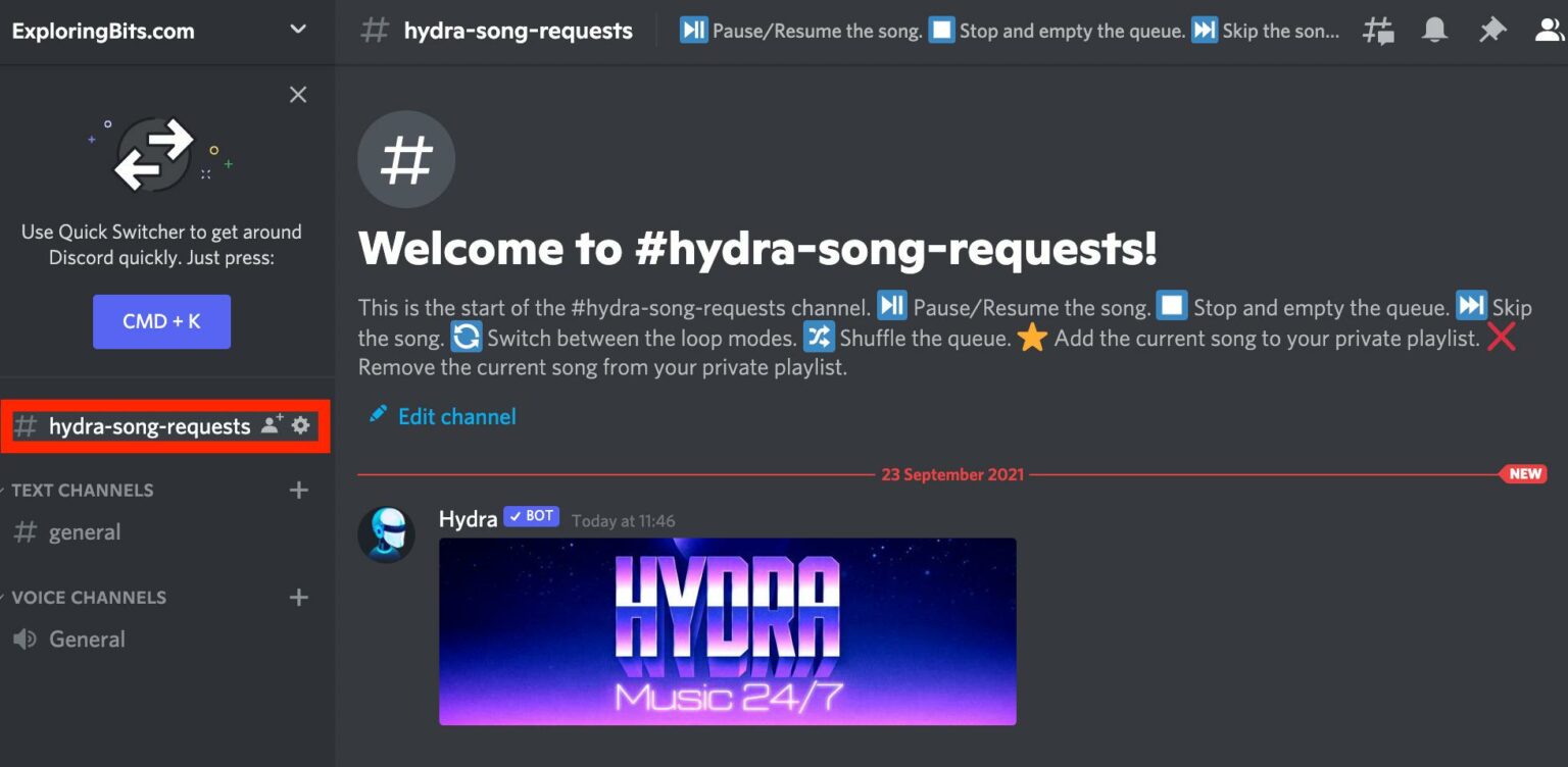 How to Use Hydra Bot Music Discord [ Hydra Bot Commands ]