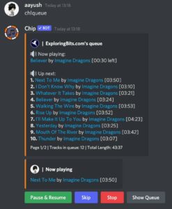 How to Use Chip Bot Discord [ Chip Music Bot Commands Guide ]