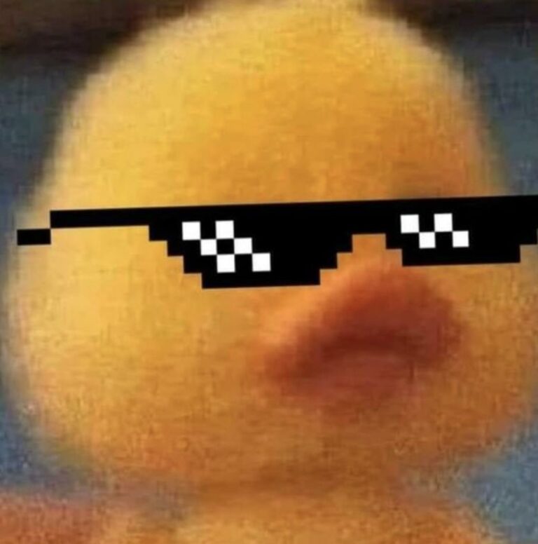 Funny PFP: Best Funny Profile Pictures - ExploringBits